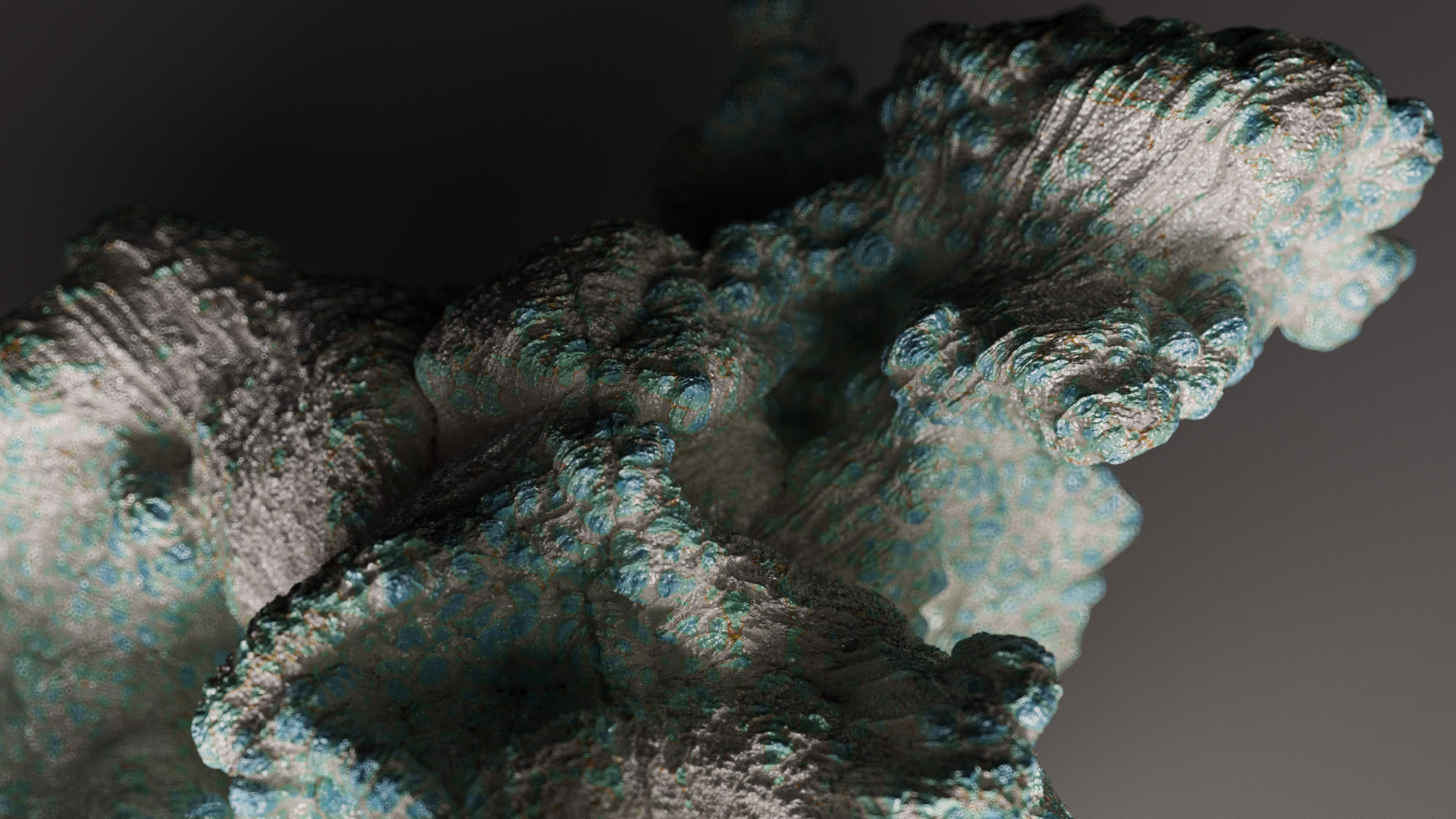 Mikhail Sedov (@msedov) | Foundation