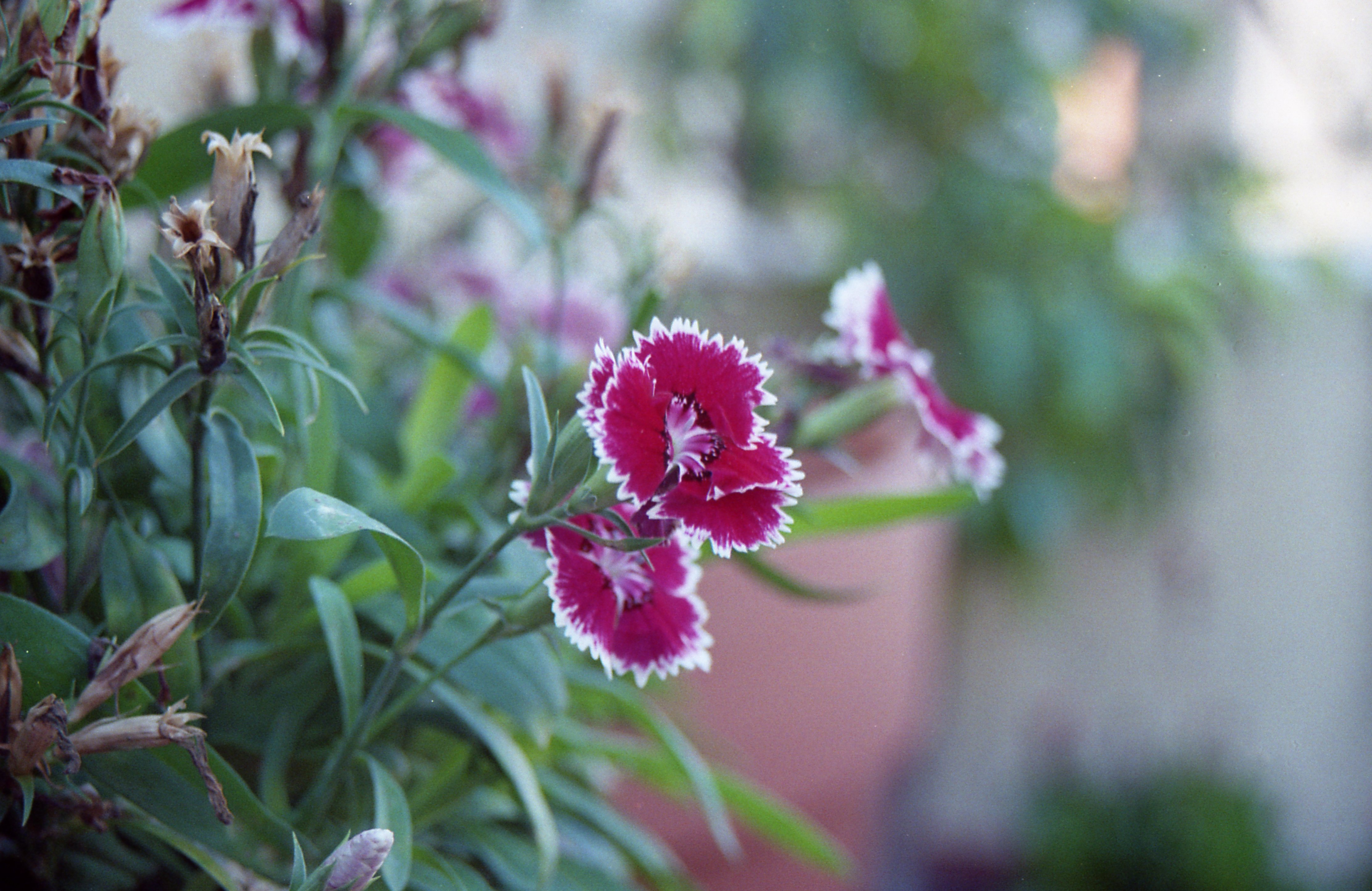 nzfs (@nzfs) | Foundation