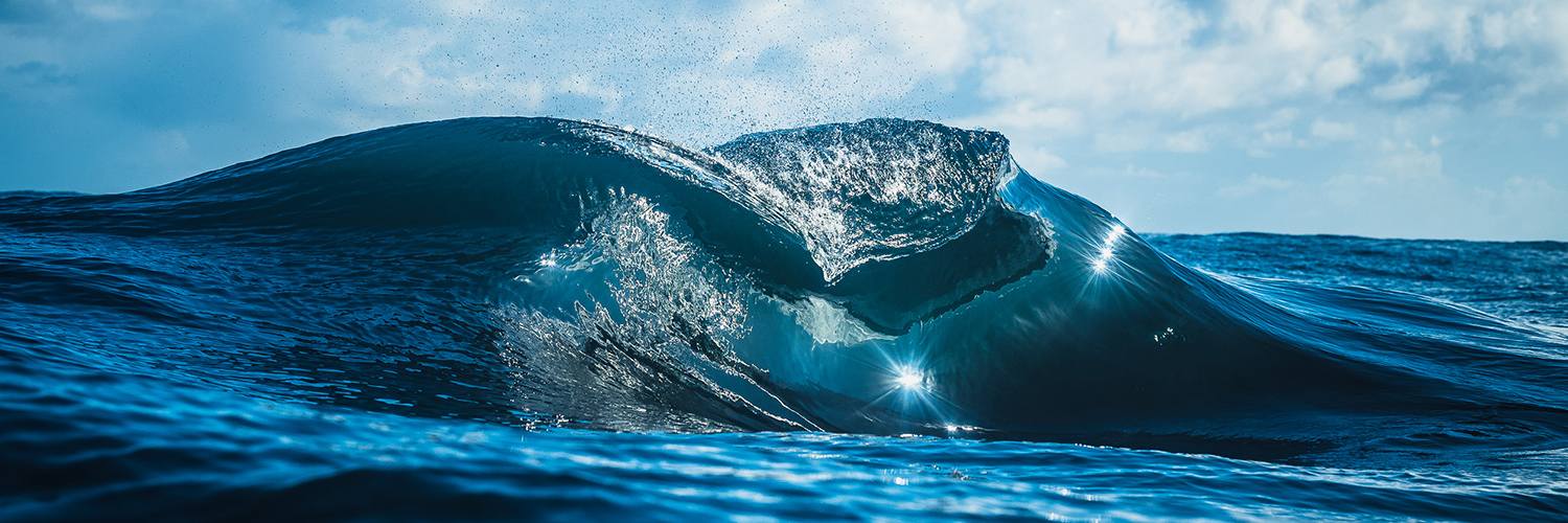 Oh Dag Yo (@ohdagyo) | Foundation