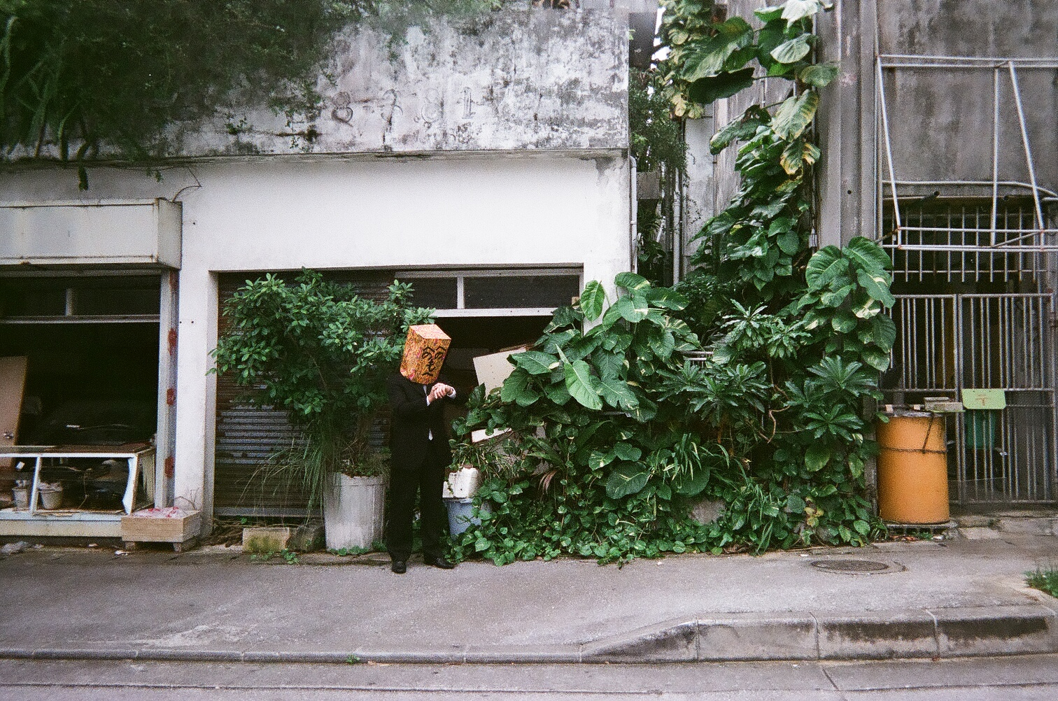 Shima (@shima) | Foundation