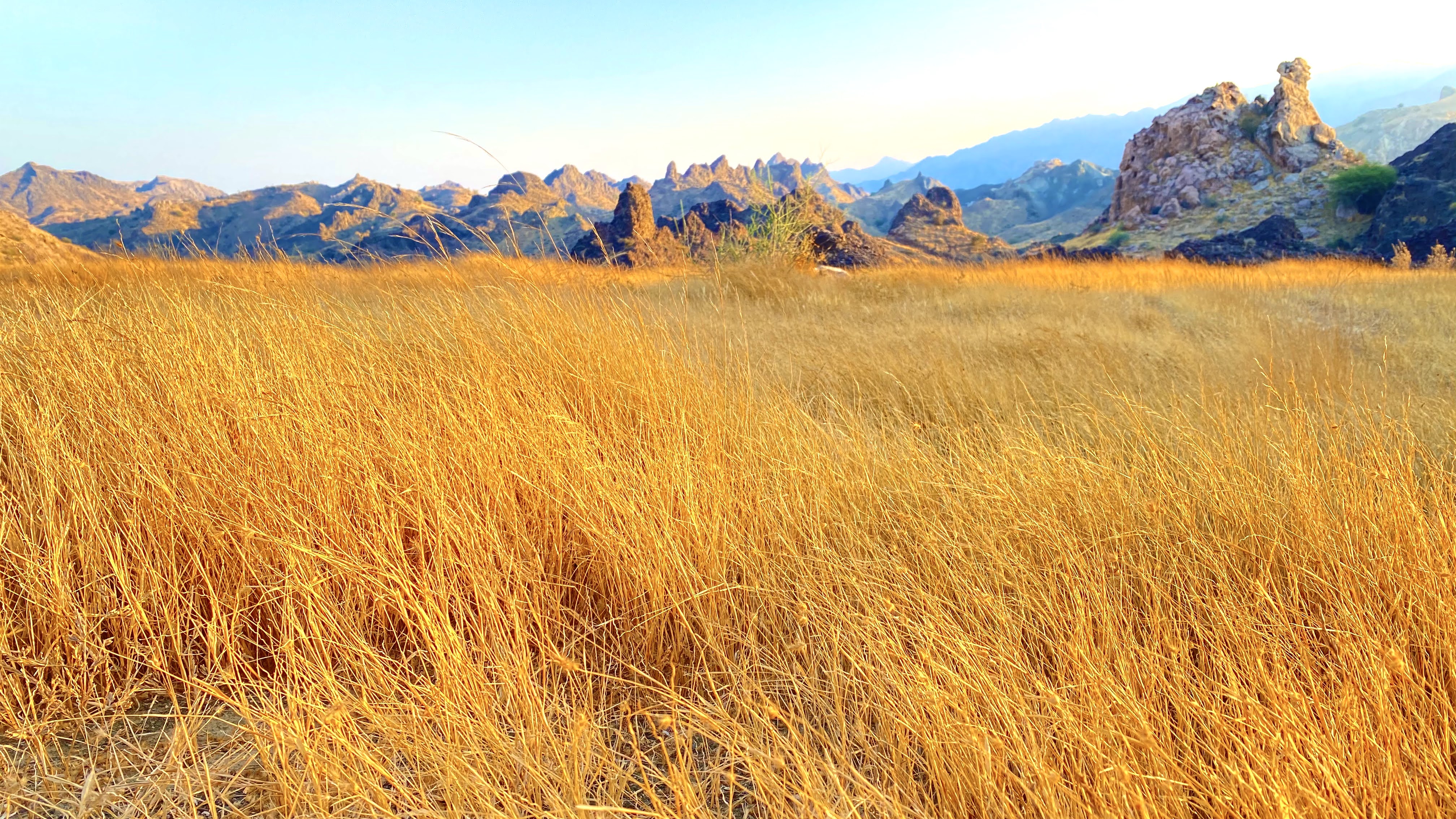 Reza Seif (@Reza_Seif) | Foundation