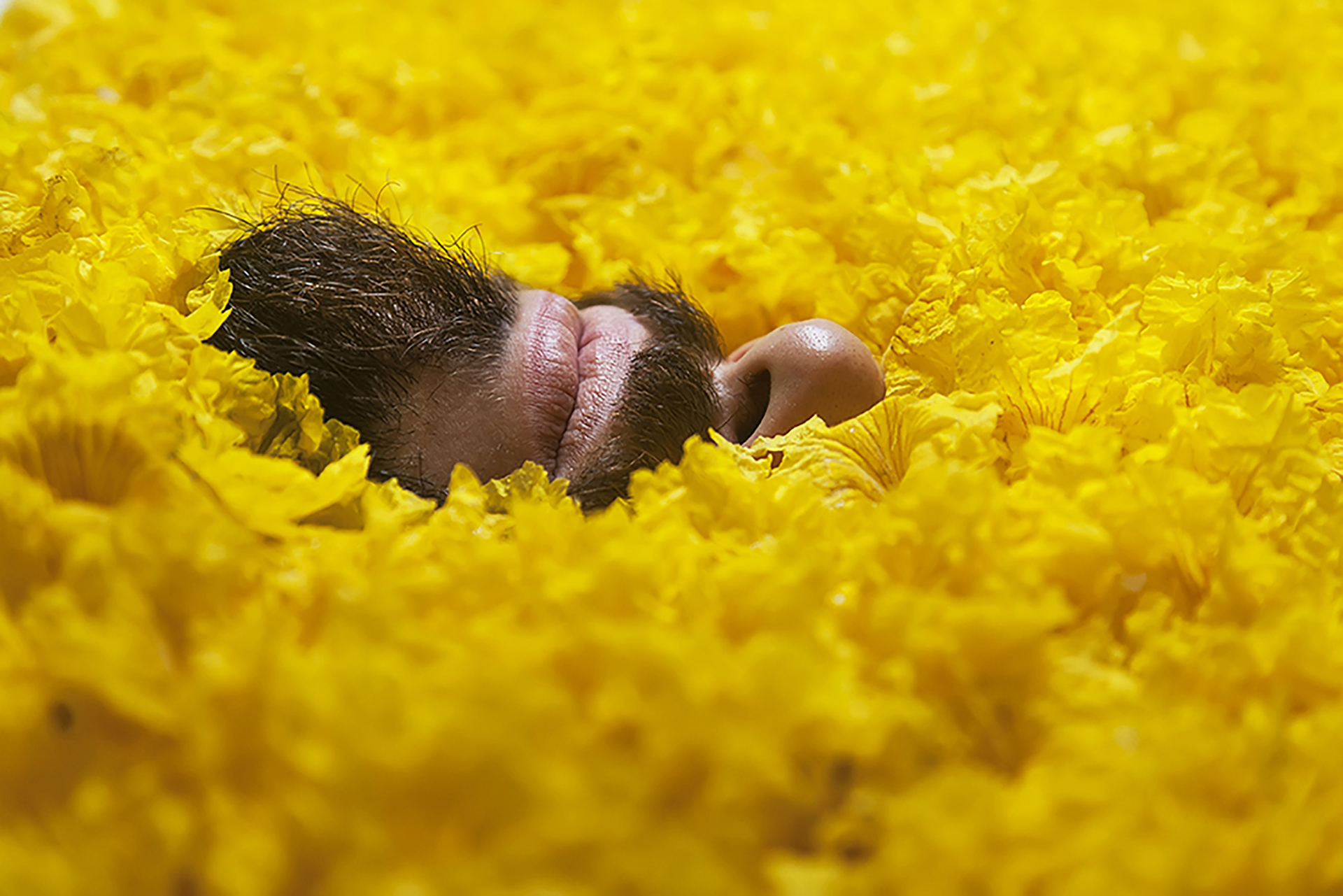 Zuania Muñiz Meléndez (@Zuania) | Foundation