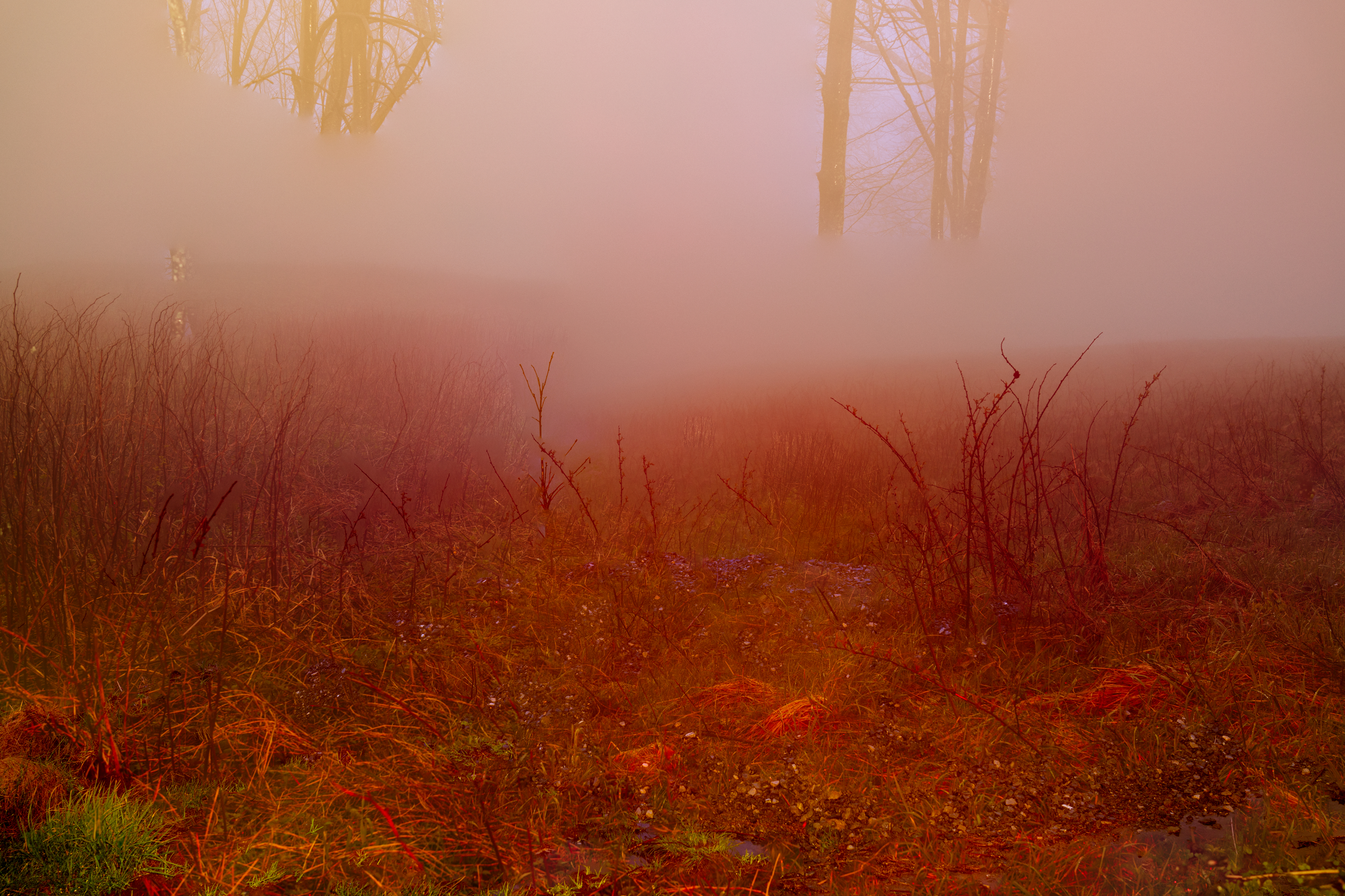 peter hoffman (@peterhoffman) | Foundation