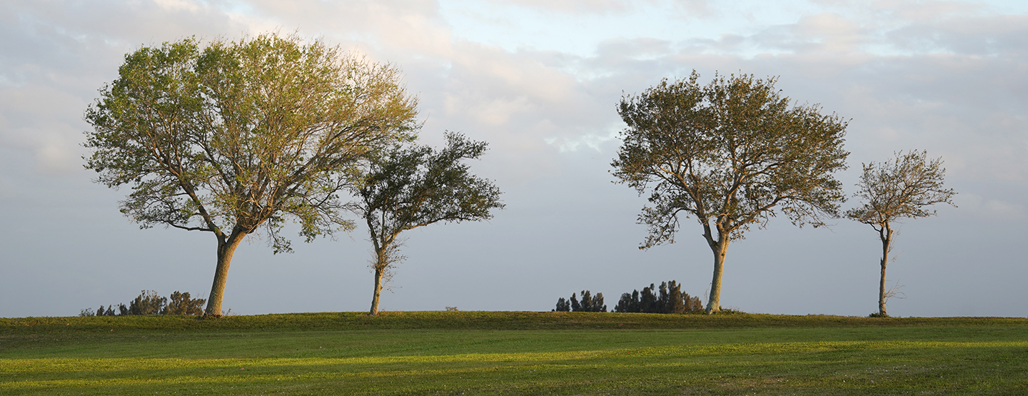 James Janner (@JJanner) | Foundation