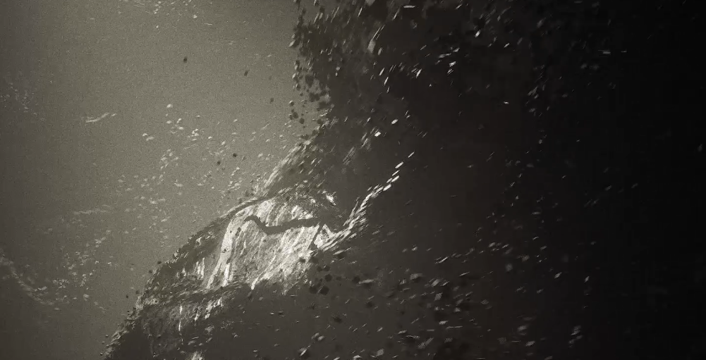 reuko (@reuko) | Foundation