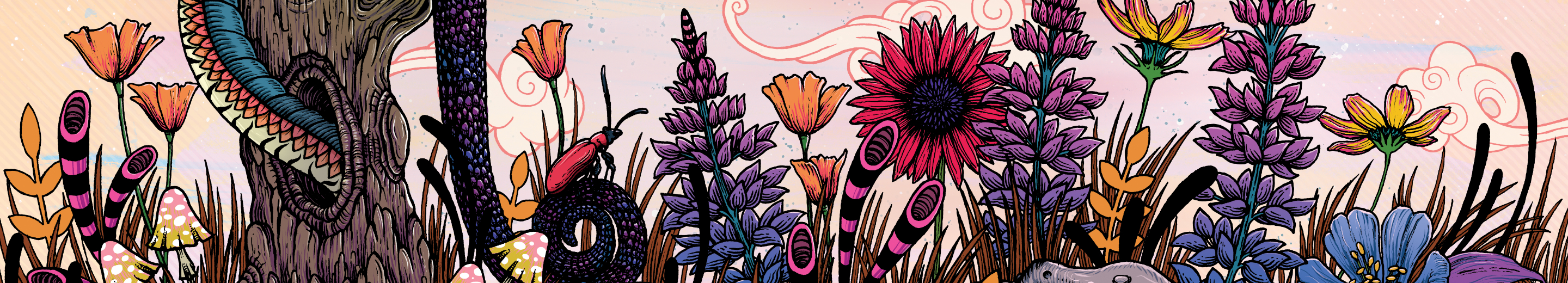 Mat Miller (@matmiller) | Foundation