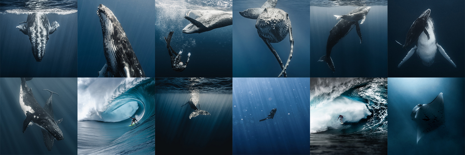 Matt Walch (@MattWalch) | Foundation