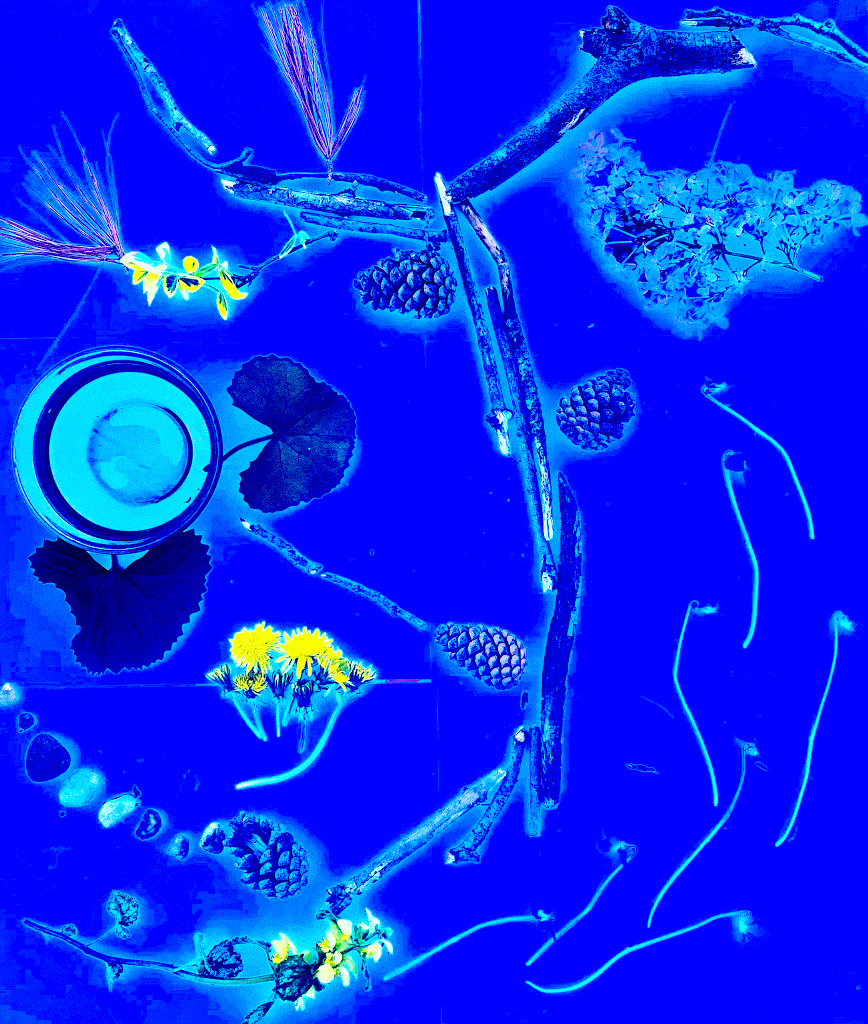 Brian Testa (@BrianTesta) | Foundation