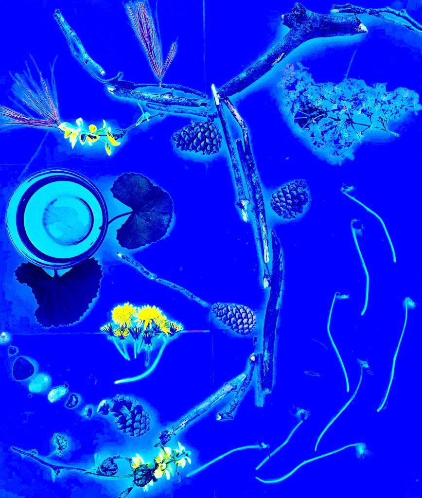 Brian Testa (@BrianTesta) | Foundation