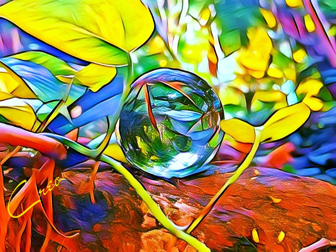 Steph Ro (@StephRoCubed) | Foundation