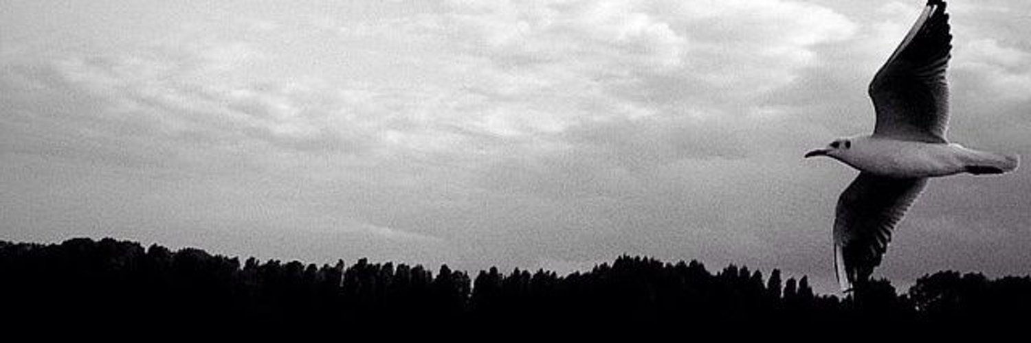 mostafa ramezani (@Eros) | Foundation