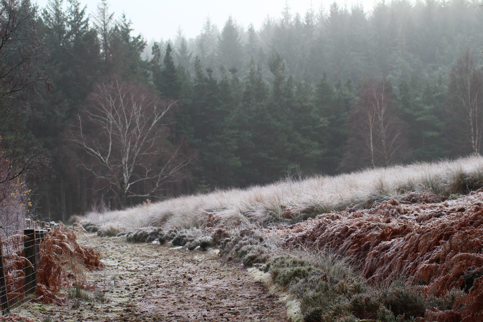 Nathaniel Carter (@natcarter) | Foundation