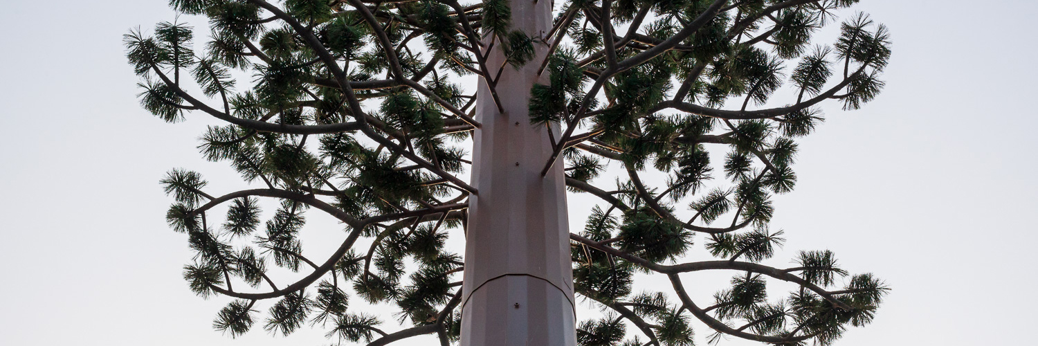 Corey Hendrickson (@CoreyHendrickson) | Foundation