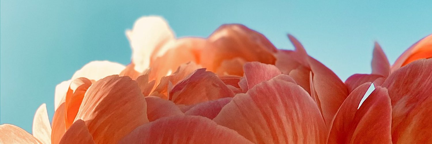 Alex Parisi (@alexparisi) | Foundation