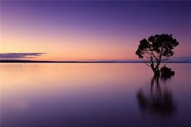 xixixi (@xixixi) | Foundation