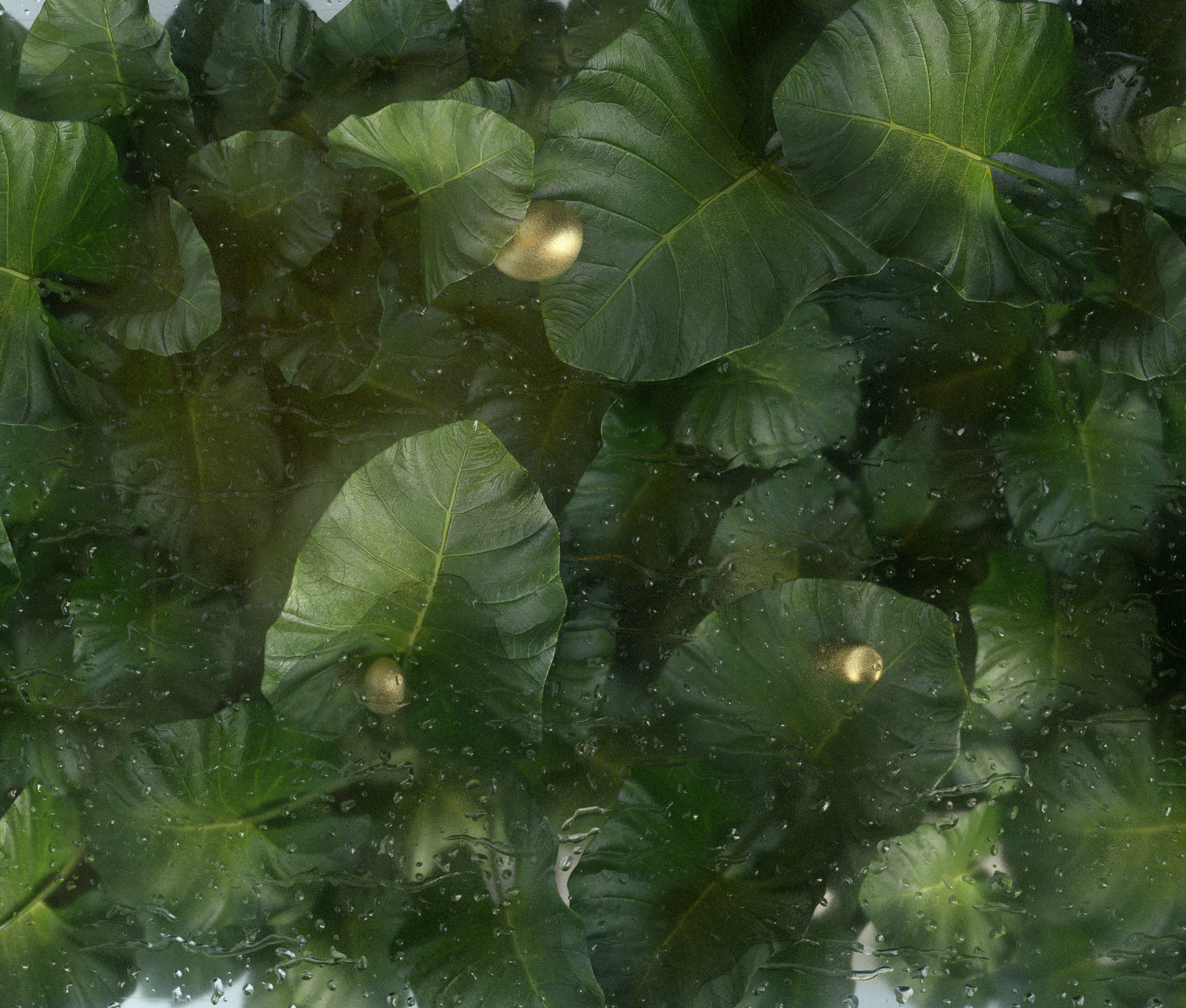 Varya Schuka (@fish_pike) | Foundation