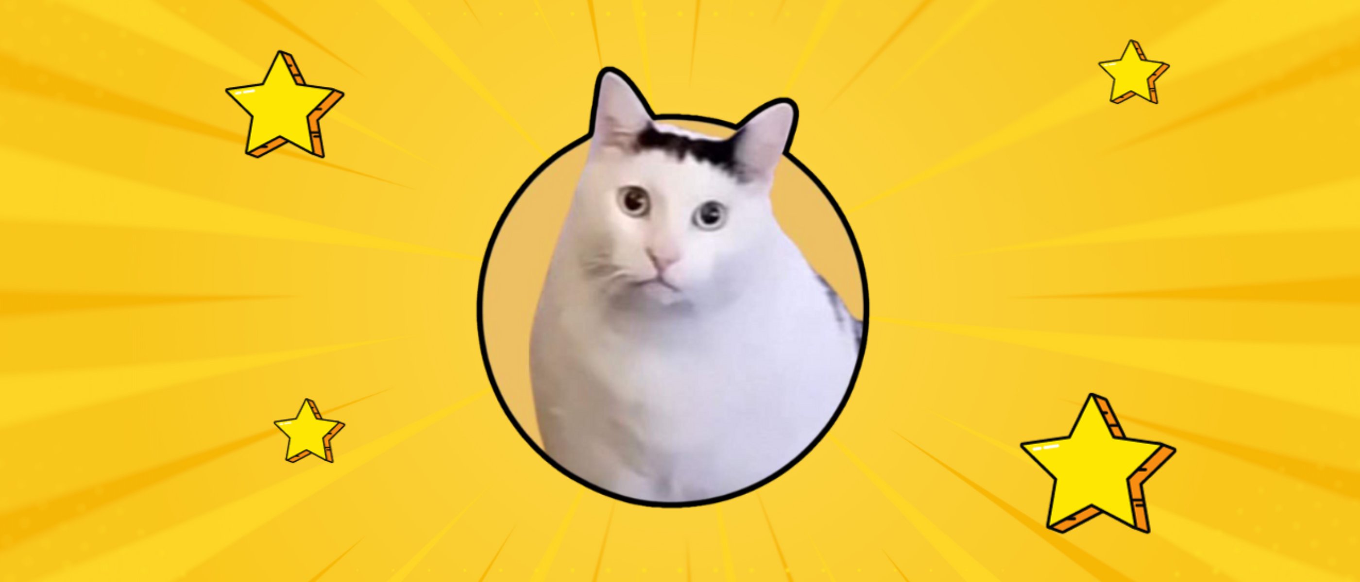 Ben, The Huh Cat (@benchonkycat) | Foundation