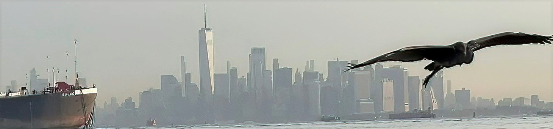 Maureen Seaberg (@Tetrachromat) | Foundation