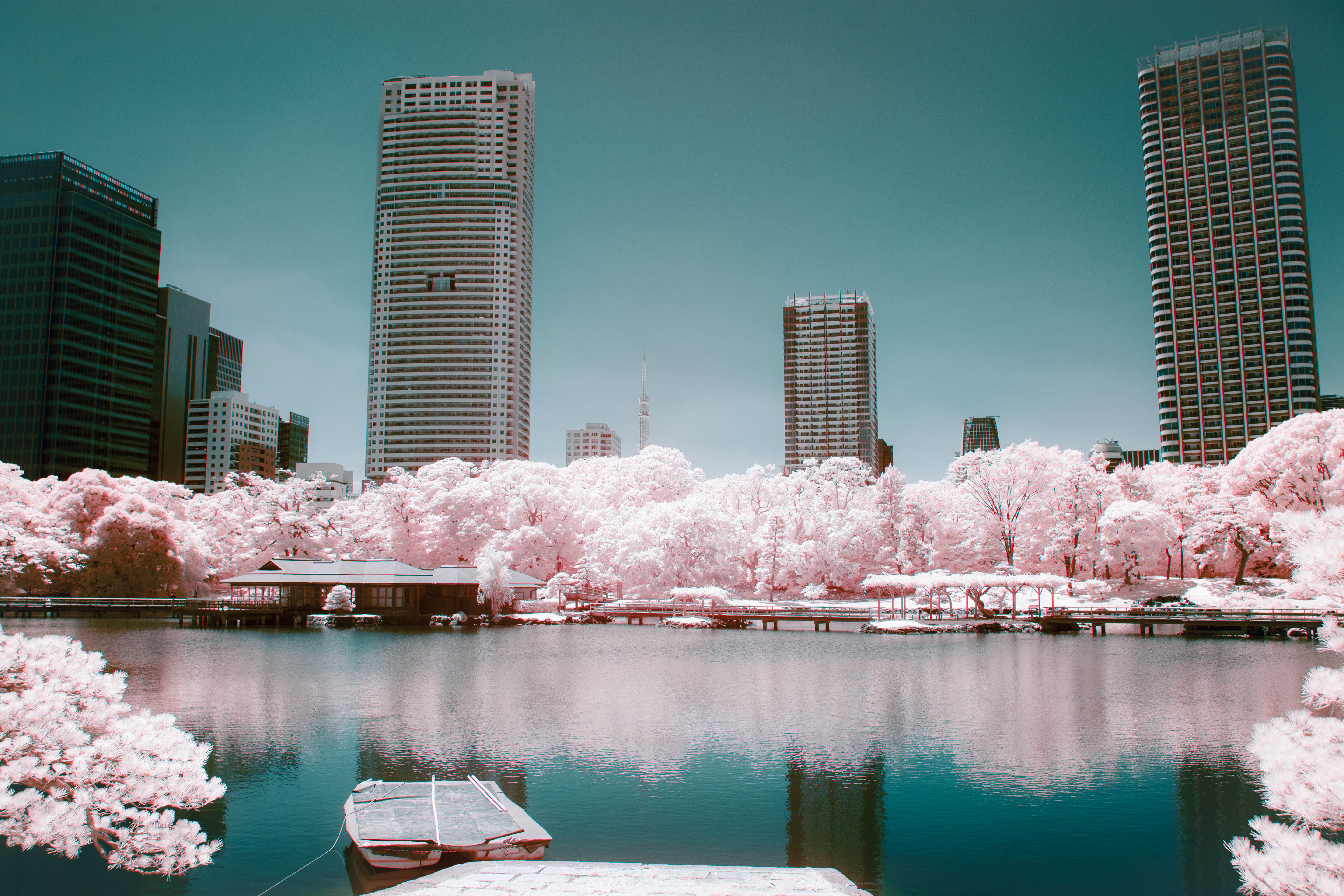 YUUUI (@yuuui) | Foundation