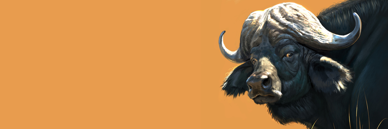 Amin Talebi (@AminATM) | Foundation