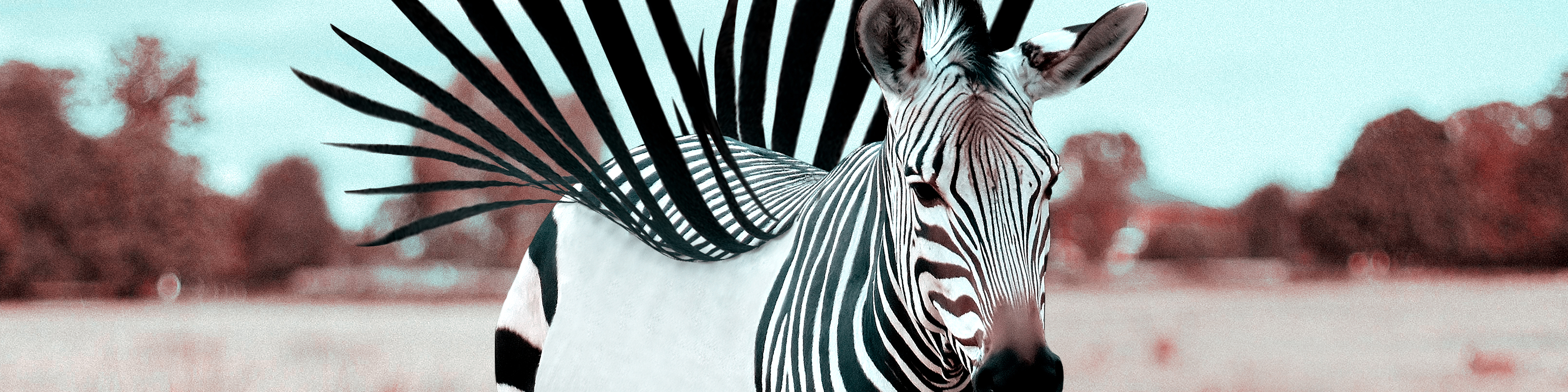 Julien Tabet (@julientabet) | Foundation