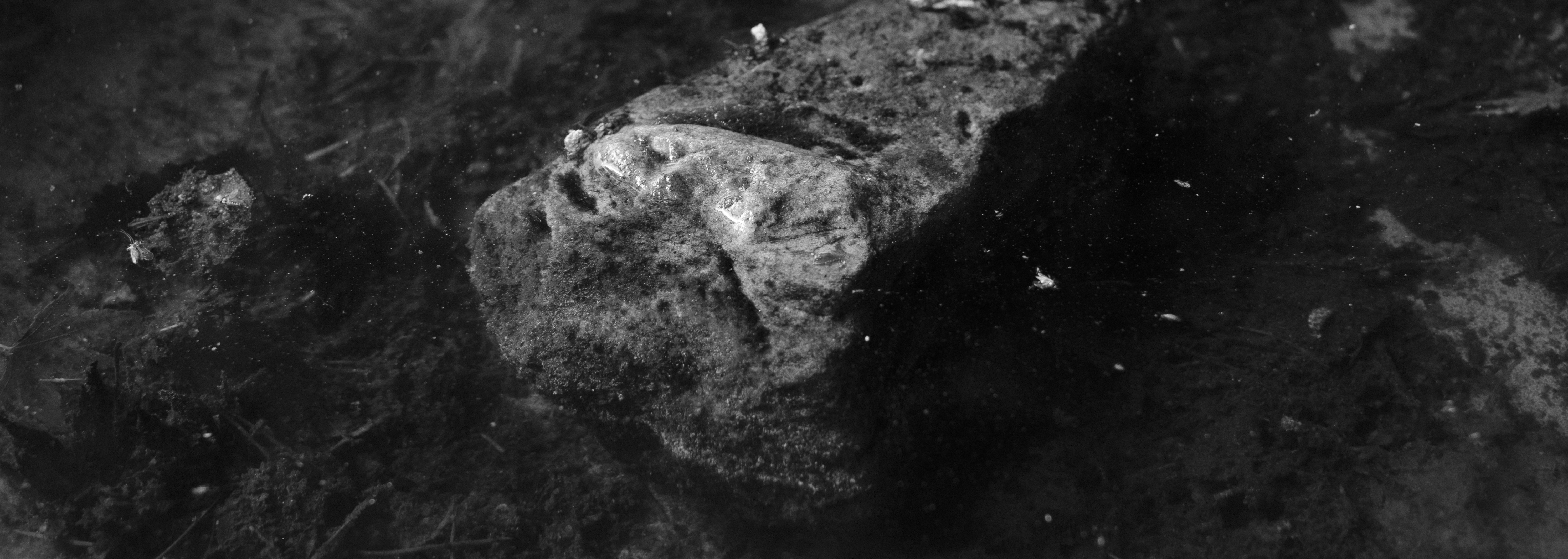 deimos art (@deimos-art) | Foundation