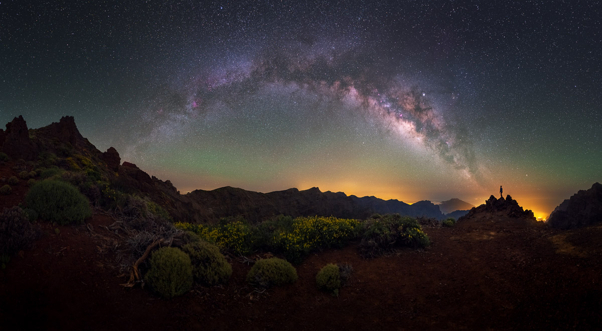 Alyn Wallace (@alynwallace) | Foundation