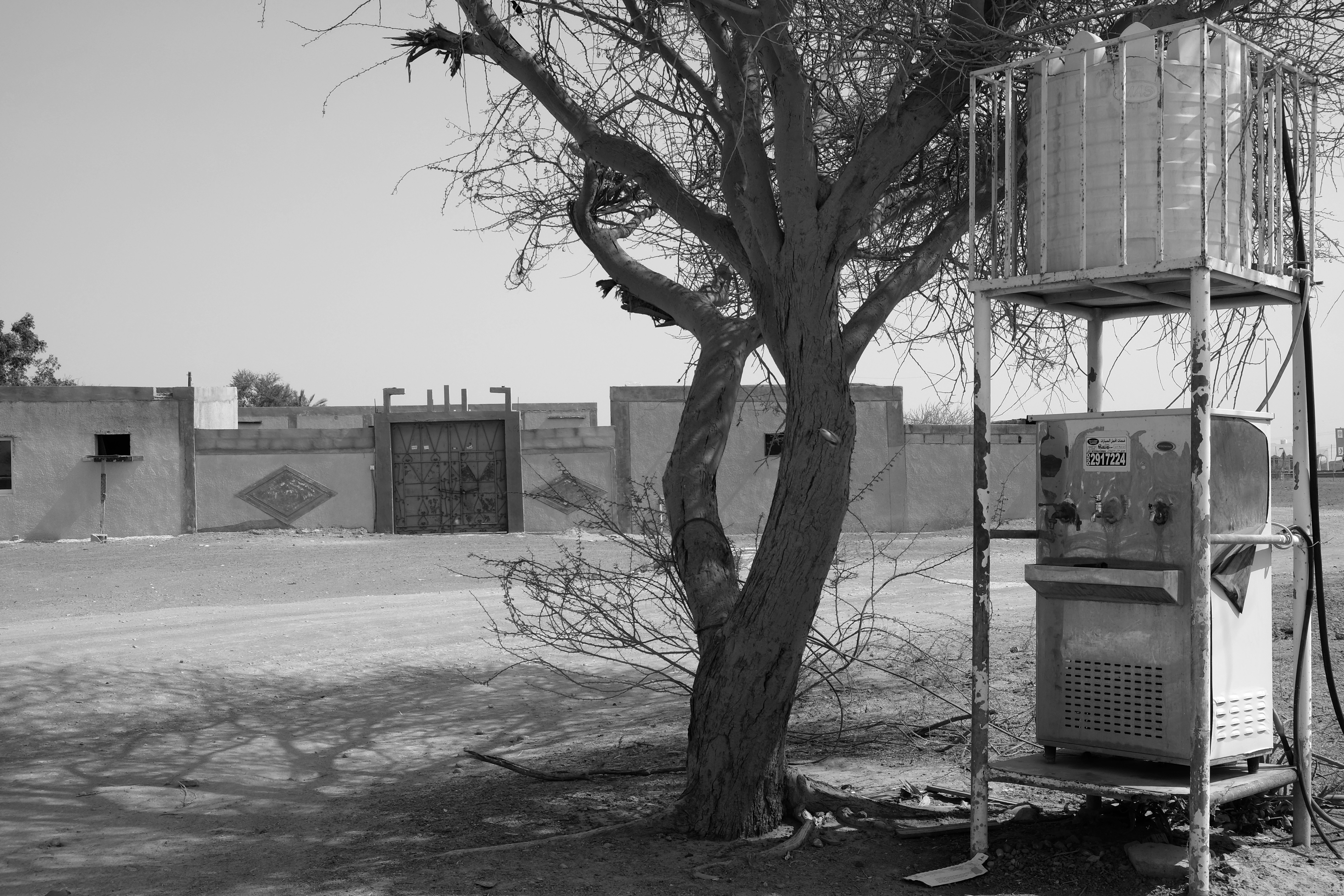 RUAE (@RUAE) | Foundation