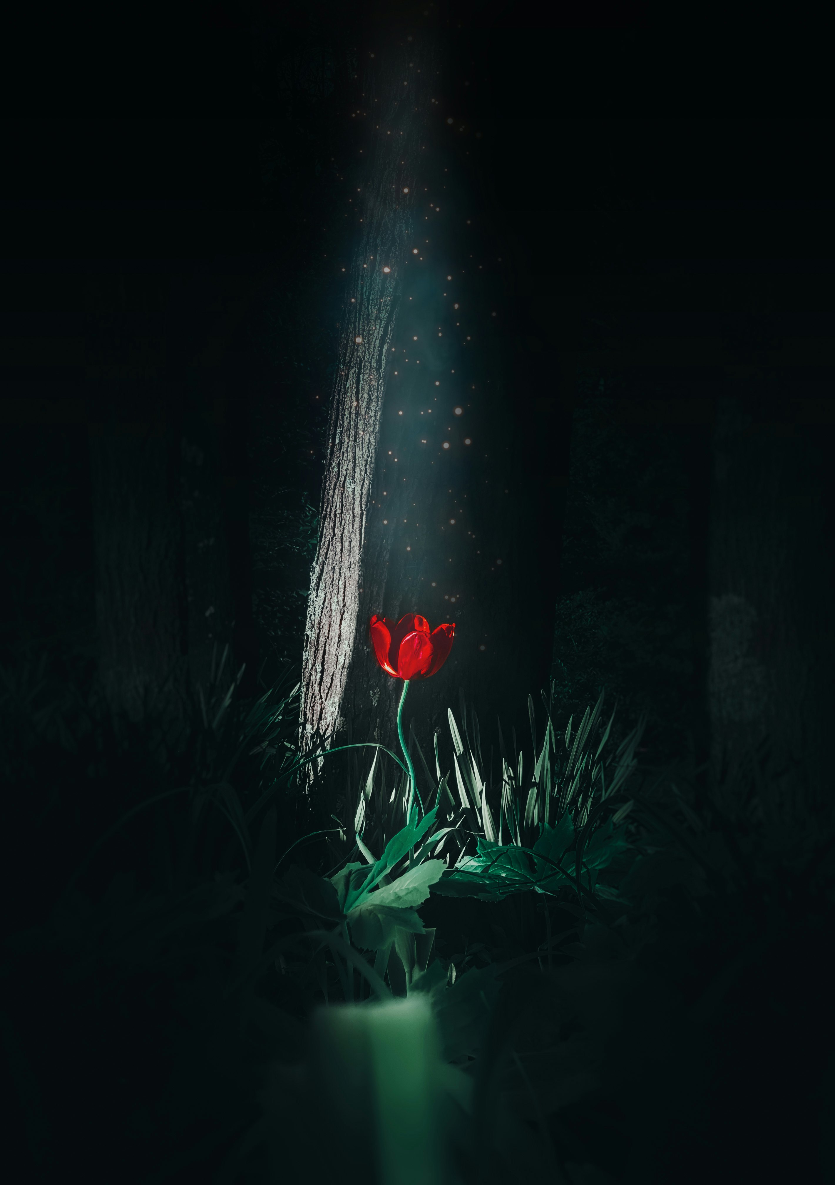 Moonlight Media (@moonlightmedia) | Foundation