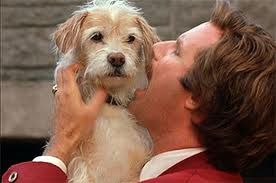 Baxter (@baxter) | Foundation