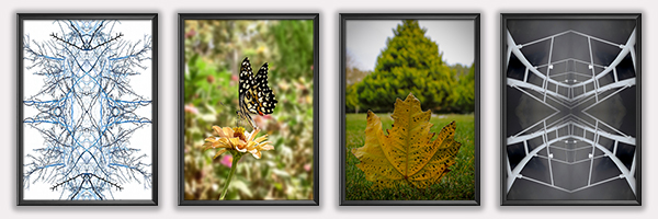 MiPix (@MiPix) | Foundation