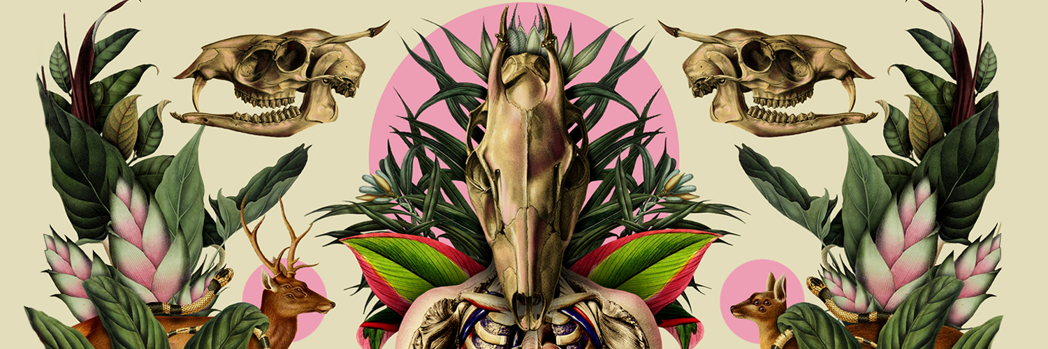 Anna_V (@Anna_V) | Foundation