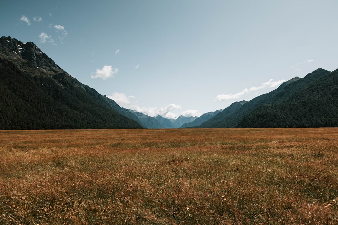 Zane Carter (@zanecarter) | Foundation