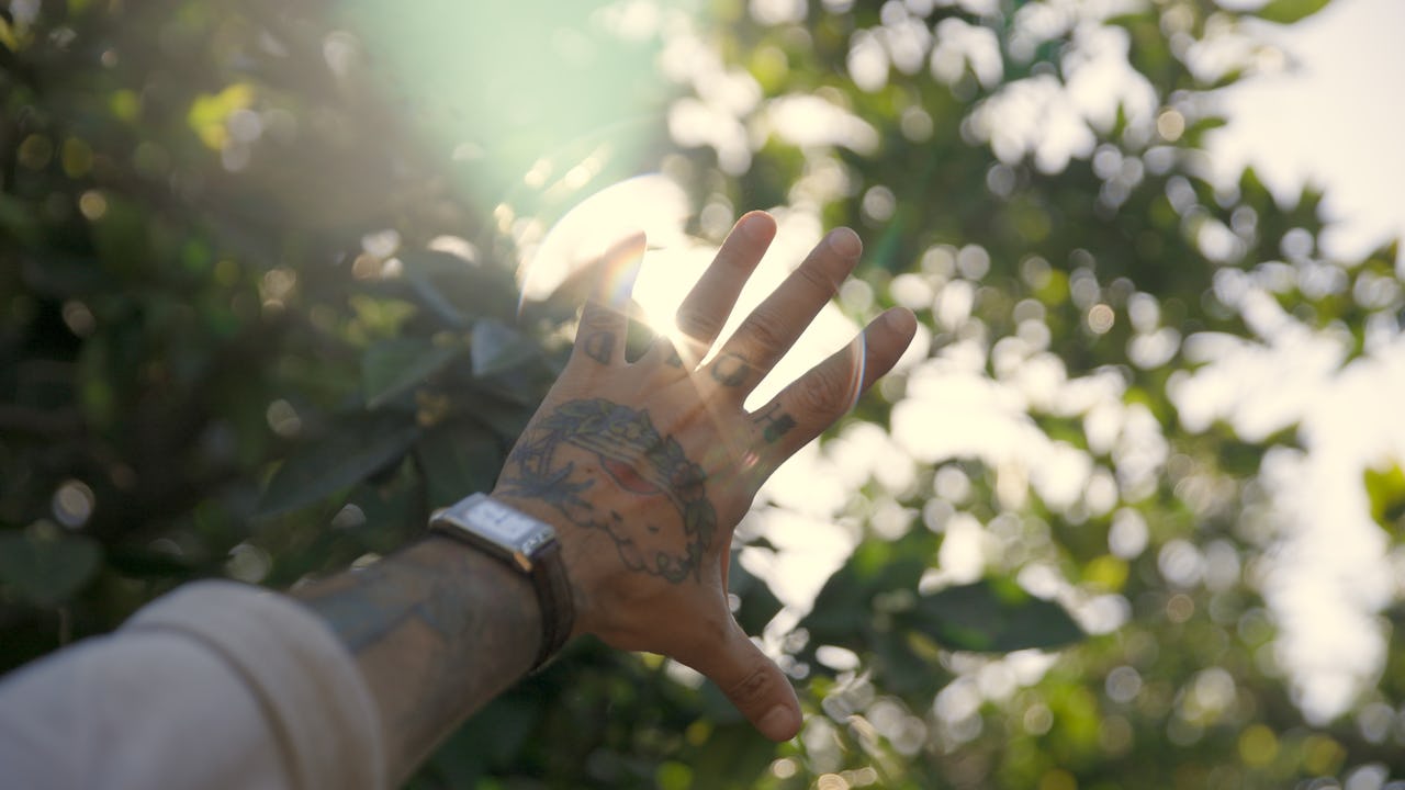 Din Perlis (@dinperlis) | Foundation