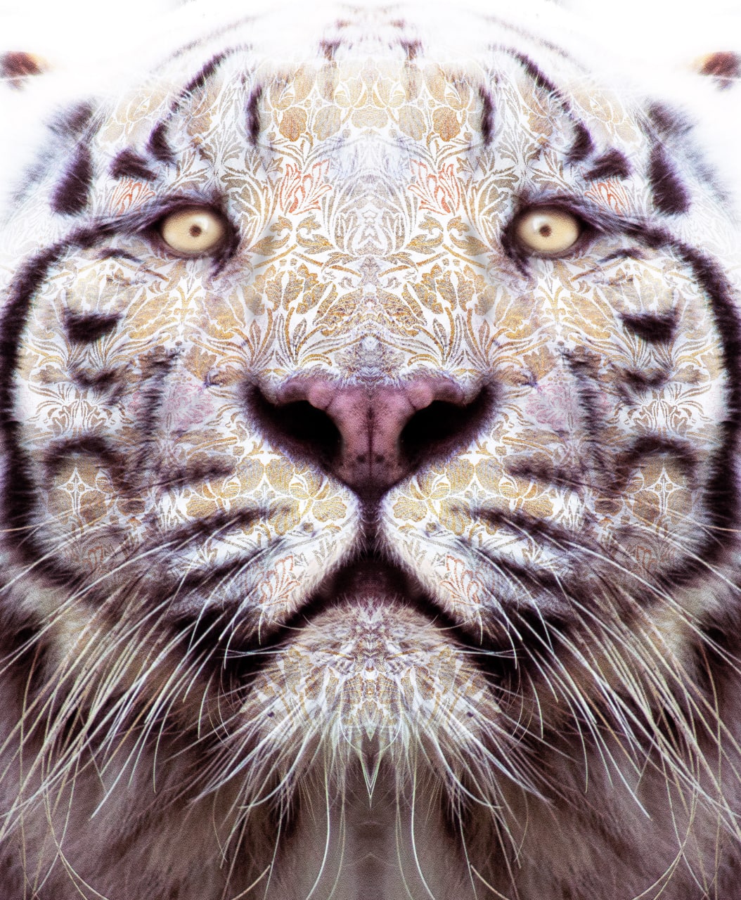 Voja (@Voja) | Foundation