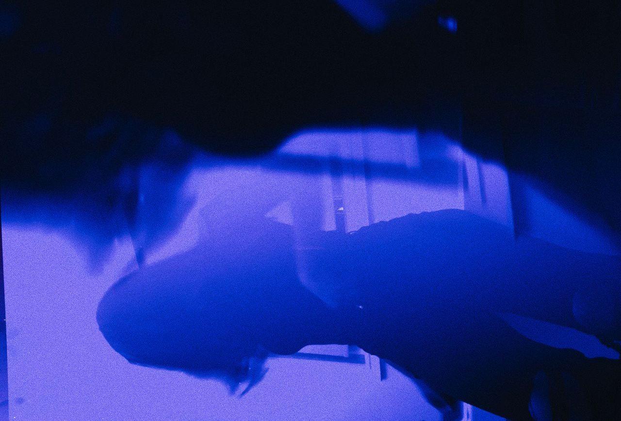 Pourya Bonakdari (@PooBon) | Foundation