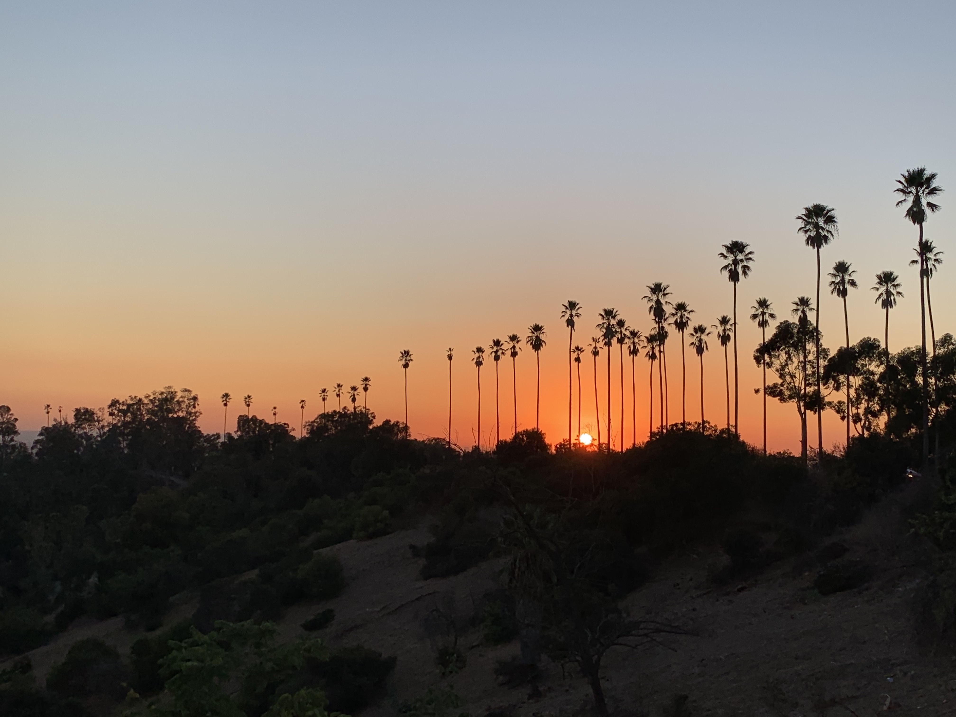 Vee (@VeeXo) | Foundation