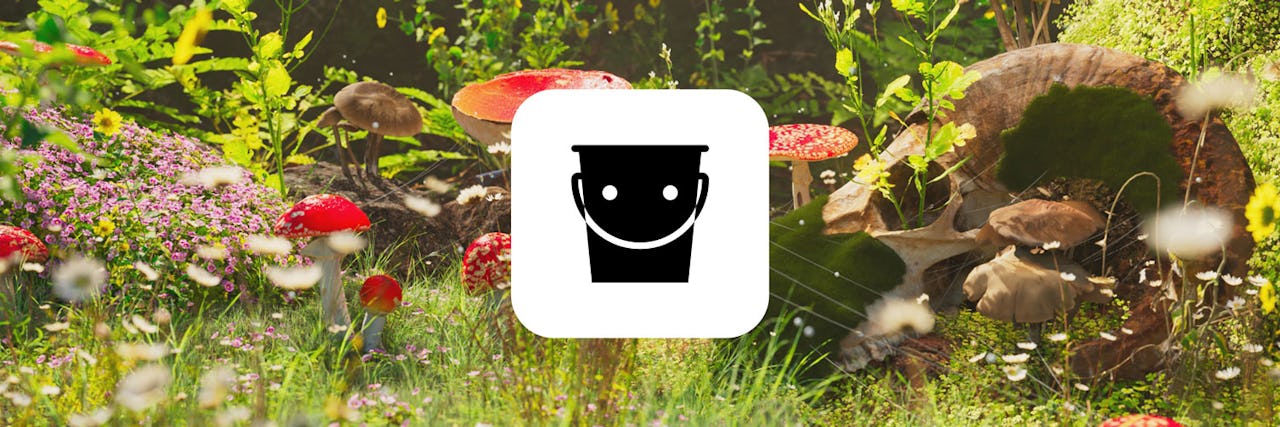 The Bucket People (@TBP) | Foundation