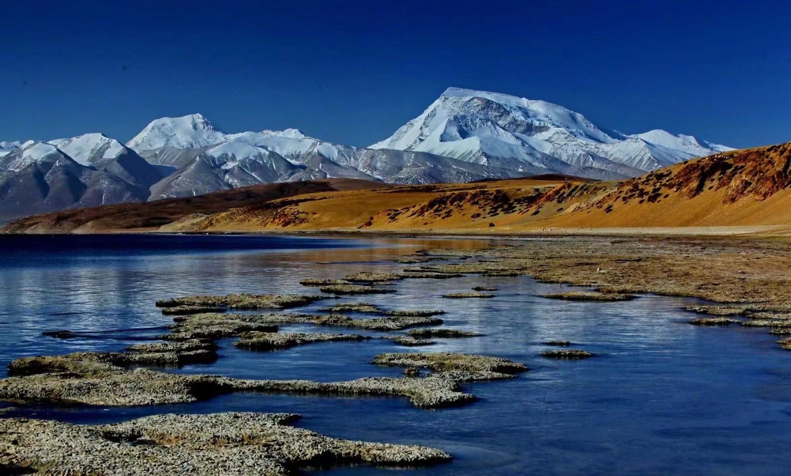 lelele (@lelele) | Foundation