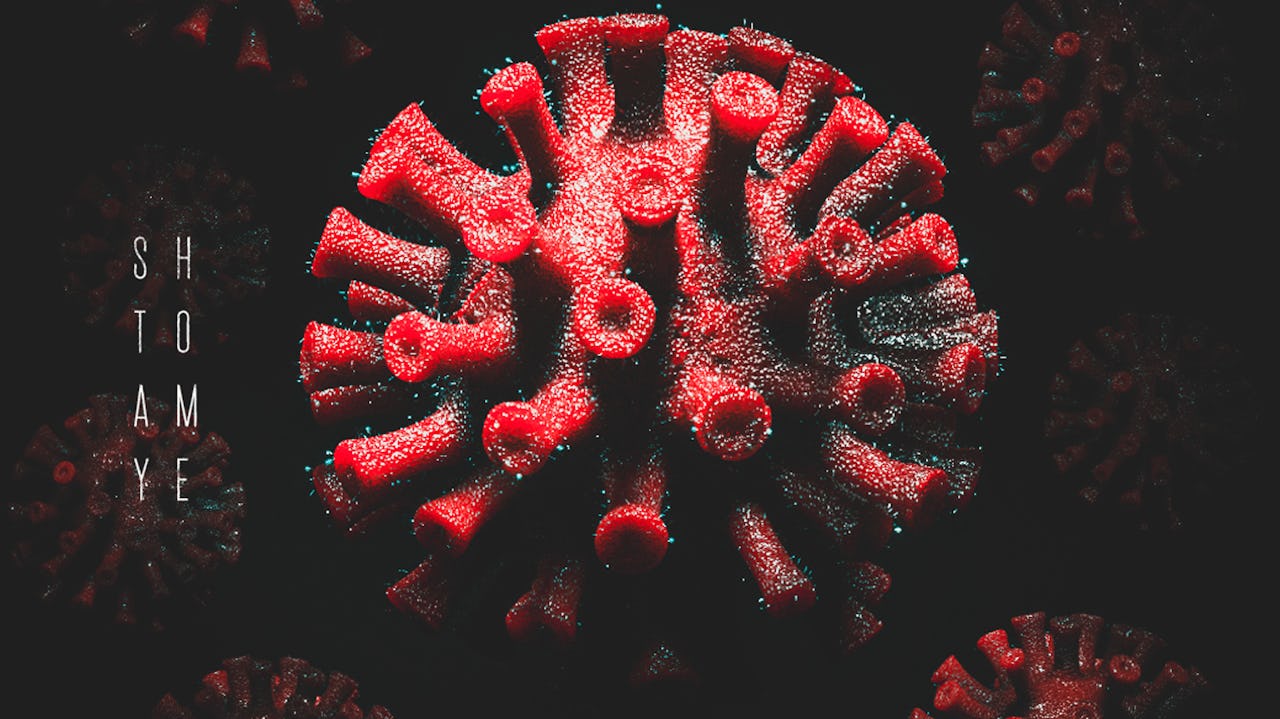 Olis (@Olis) | Foundation