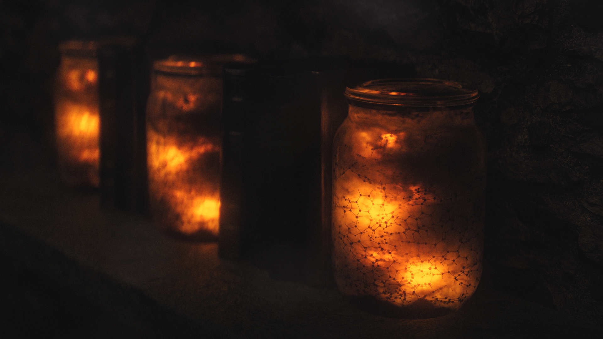 Barmaan (@Barmaan) | Foundation