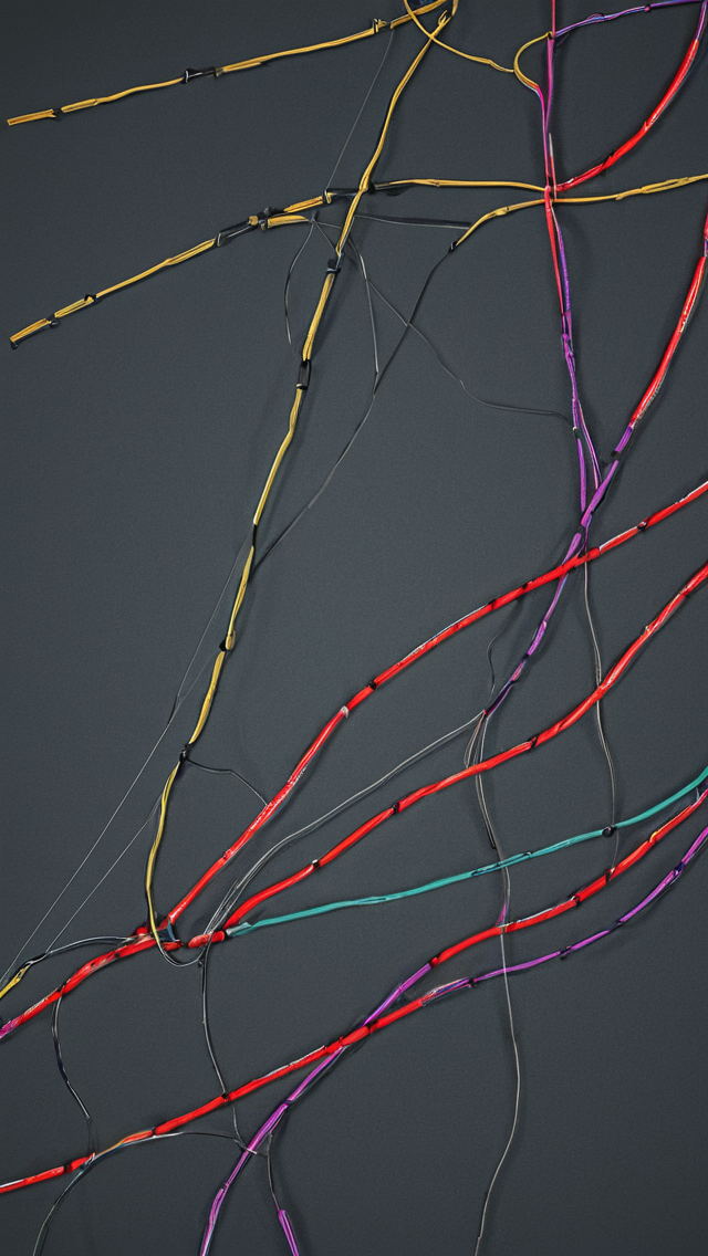 Alex Feil (@Alex_F_Privat) | Foundation