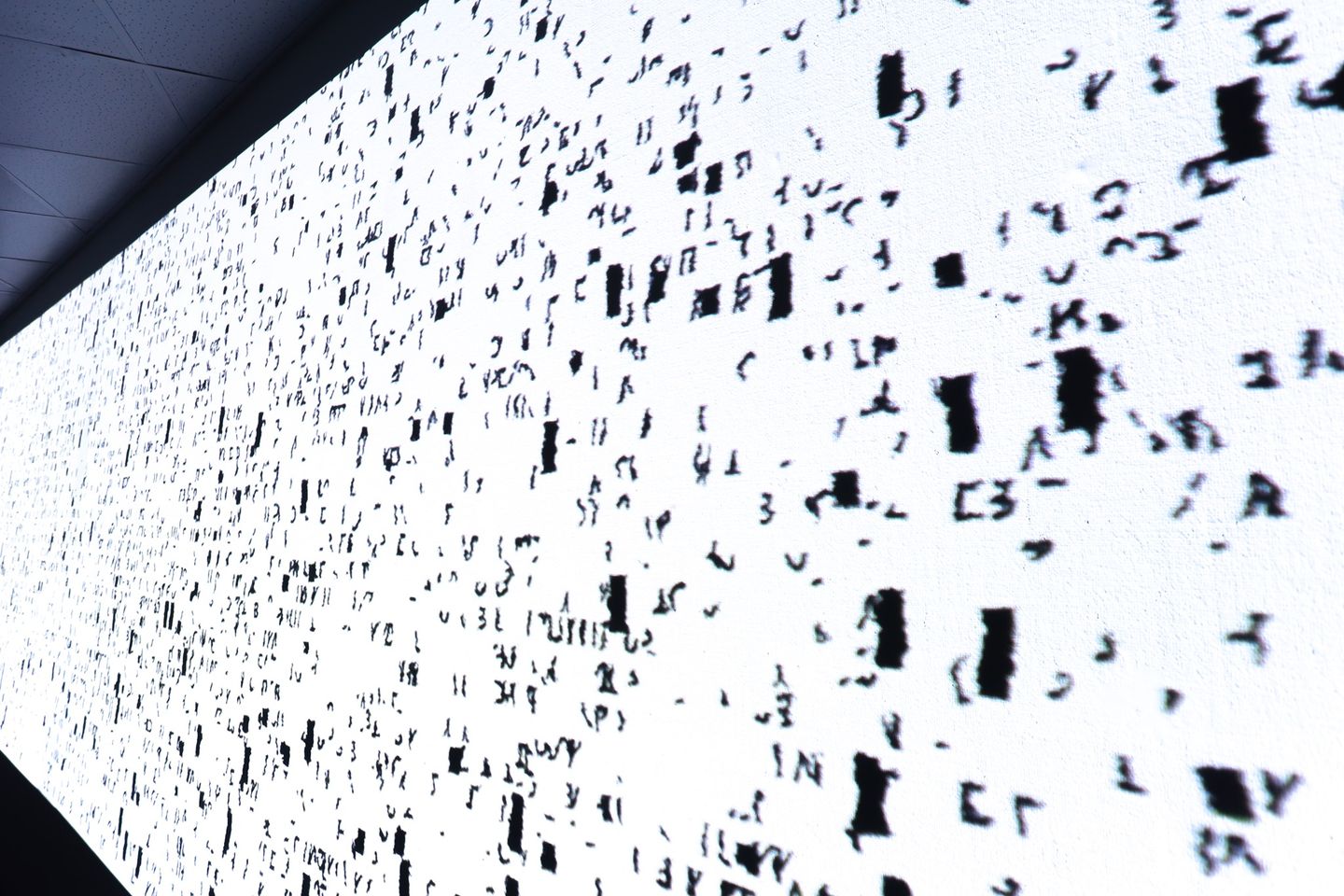 Lazarus Chan (@lazaruschan) | Foundation