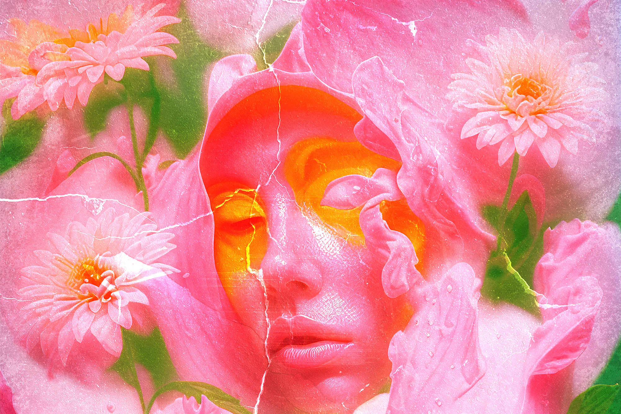 Fem Flora | Foundation