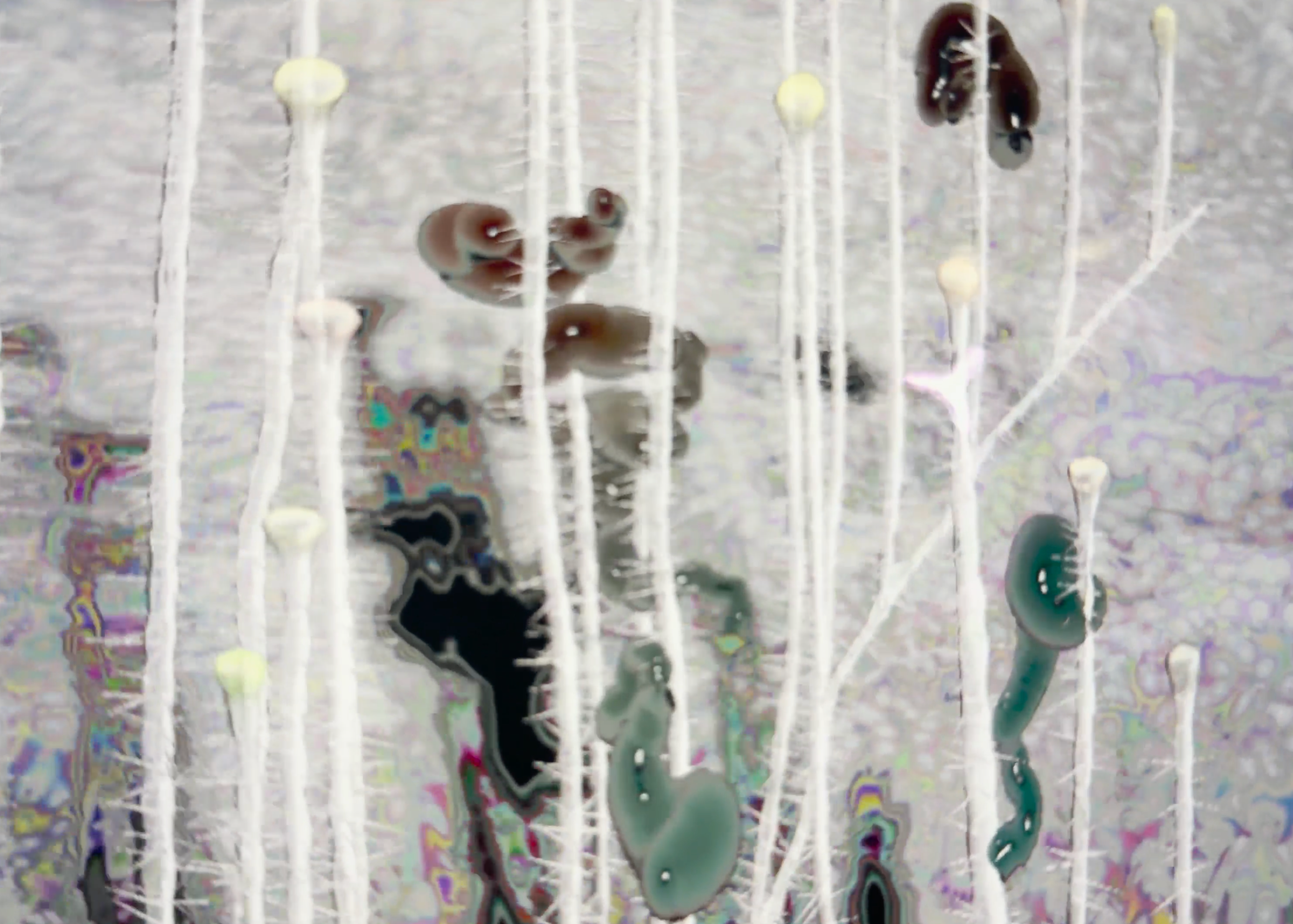 Forever Projects | Foundation